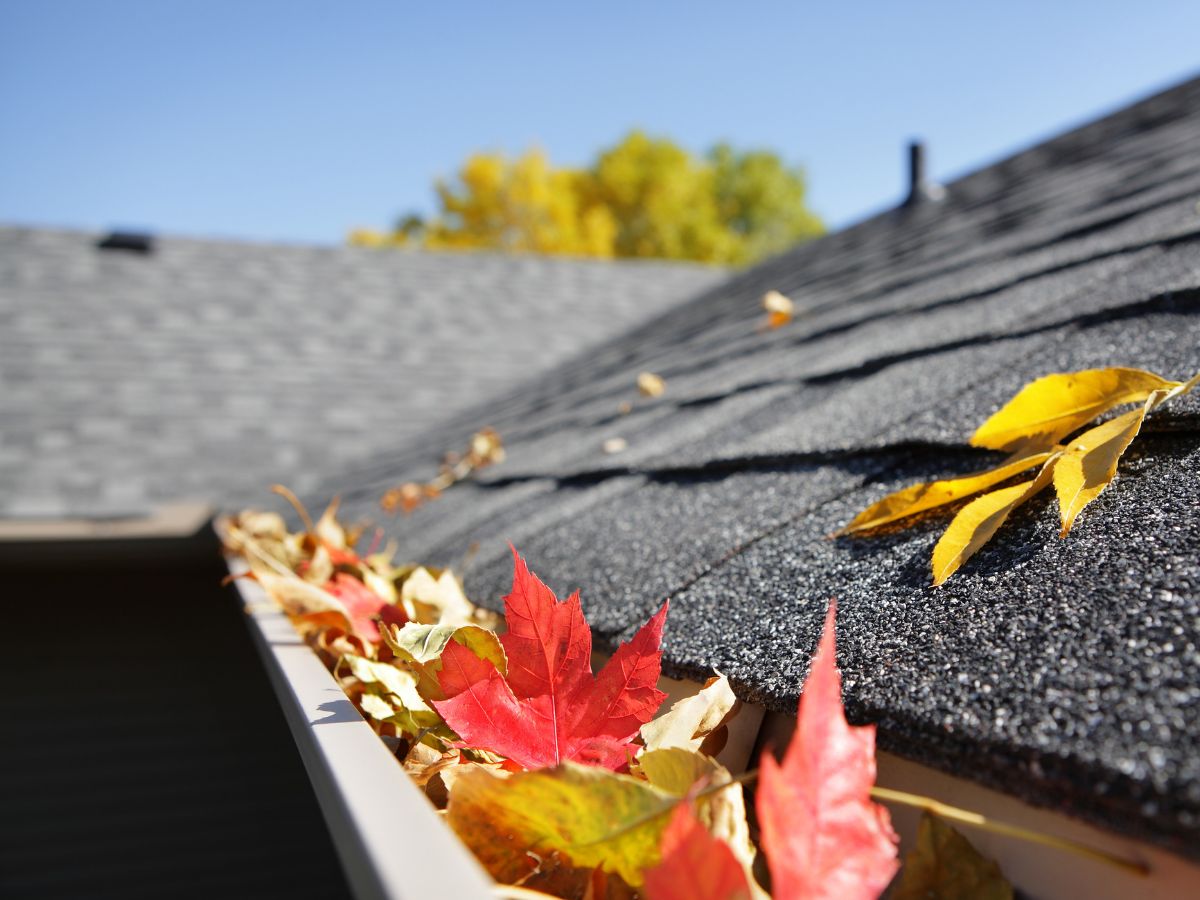 Understanding the System Components of a New Shingle Roof