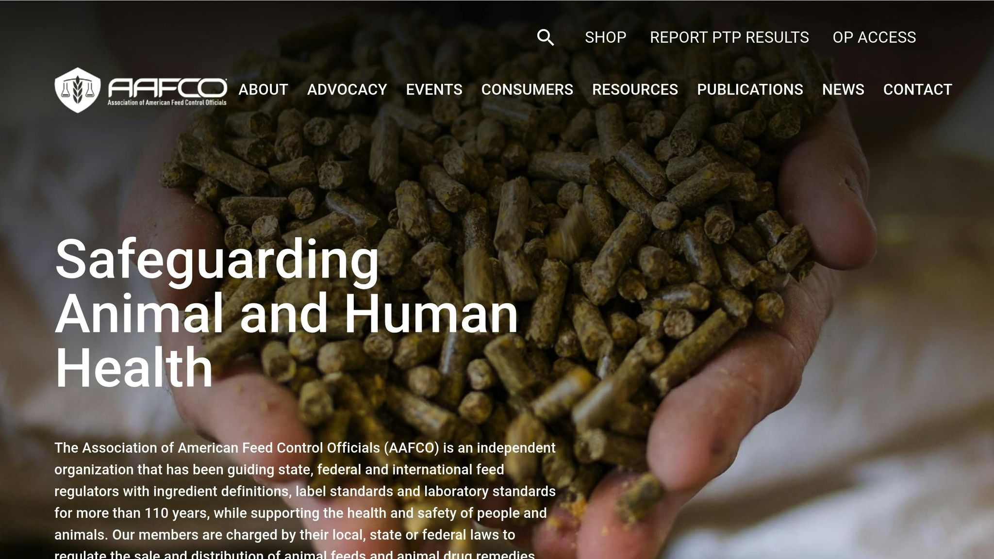 Pet Parents Will Pay 3x More for This One Thing (And Most Amazon ...