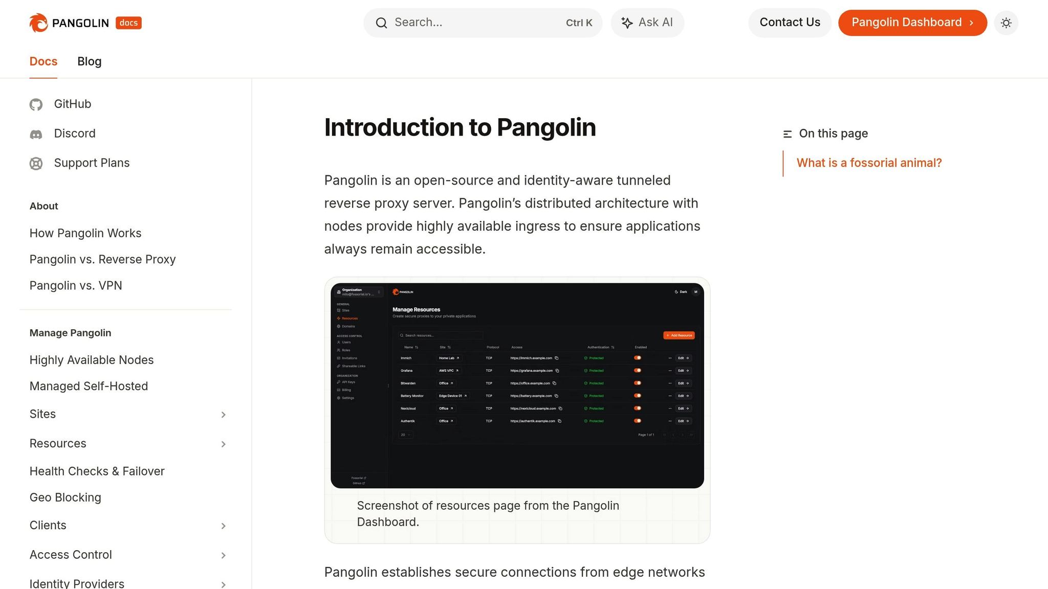 Complete Self-Hosting Guide: Pangolin & Authentik (2025)