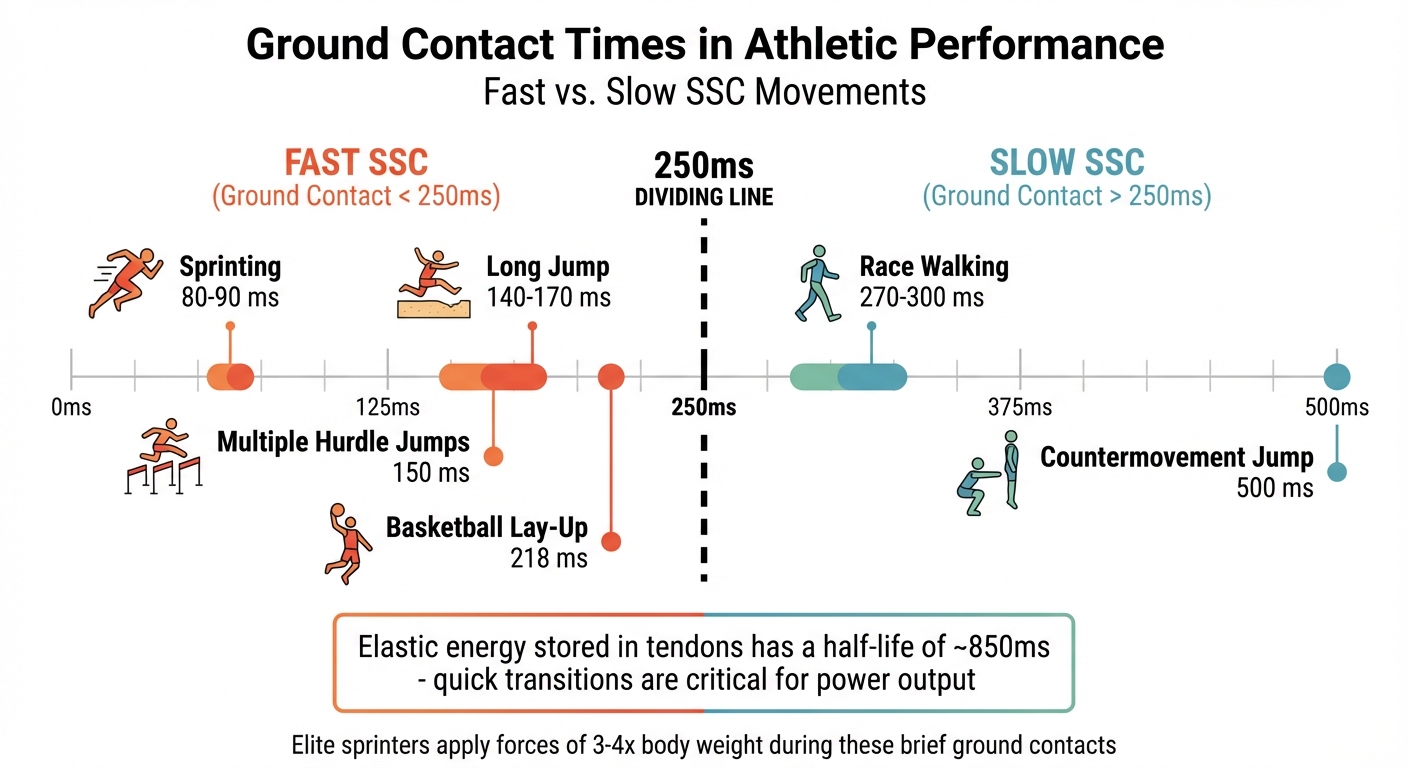Neuromuscular Reflexes in Fitness Training