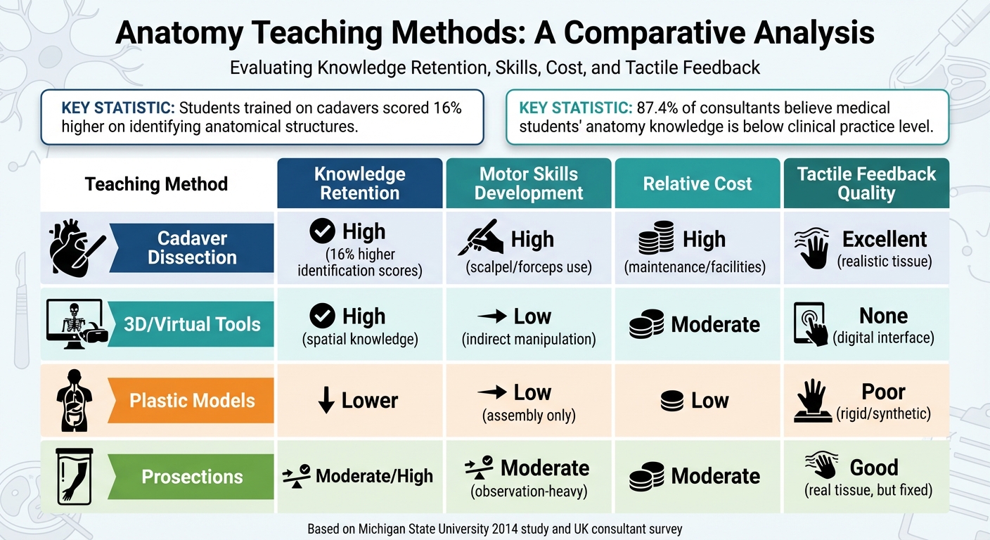 How Cadavers Improve Regional Anatomy Learning