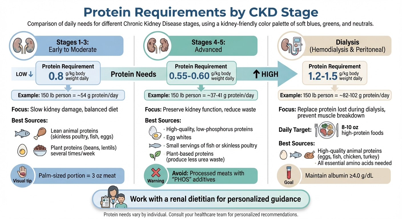 Best Protein Sources for Kidney Patients - MyNephrologist