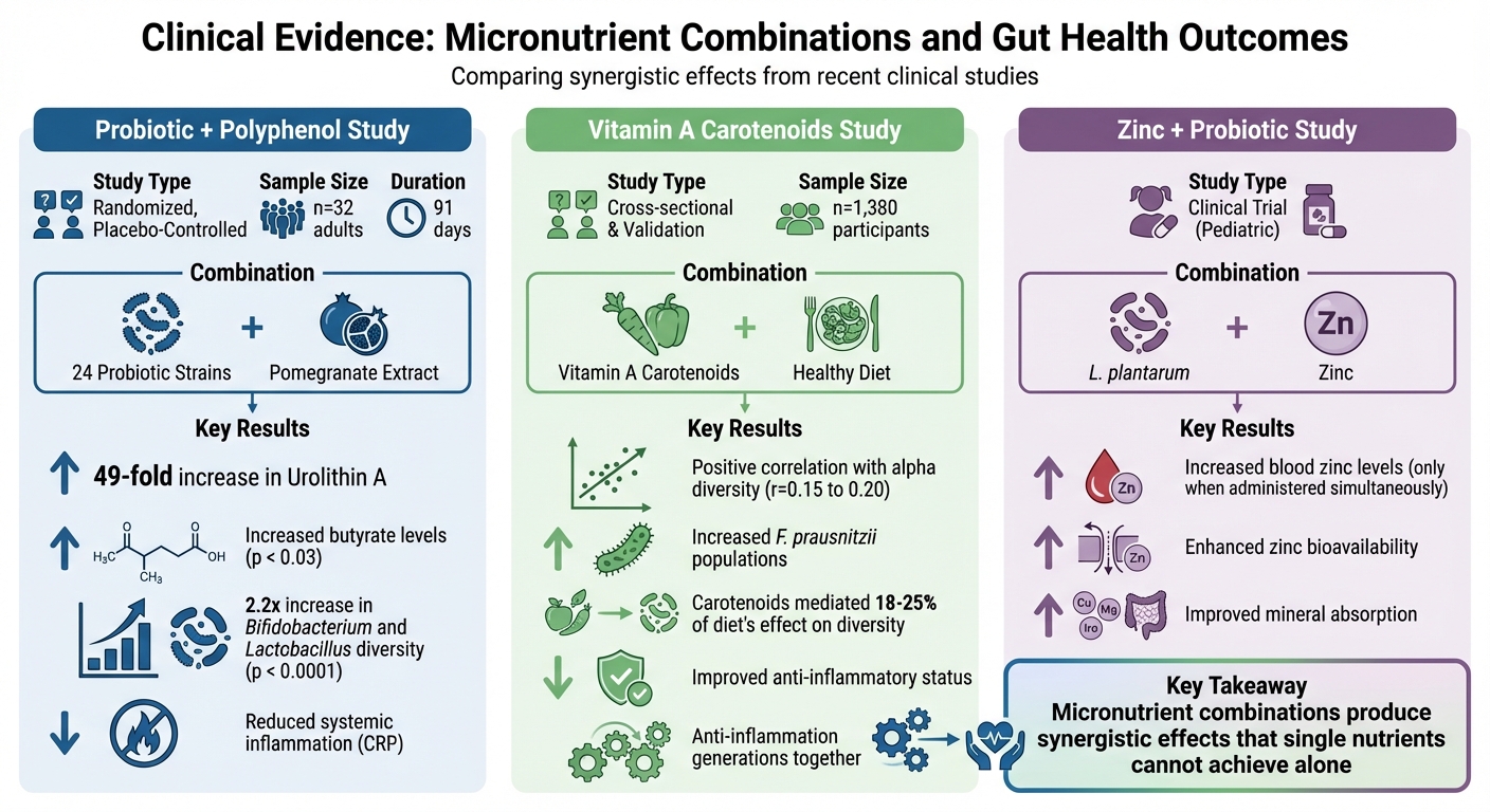 Micronutrient Synergy and Gut Microbiome – Begin Rebirth