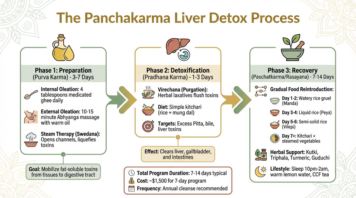 Panchakarma for Liver Detox | Mahoney Supplements
