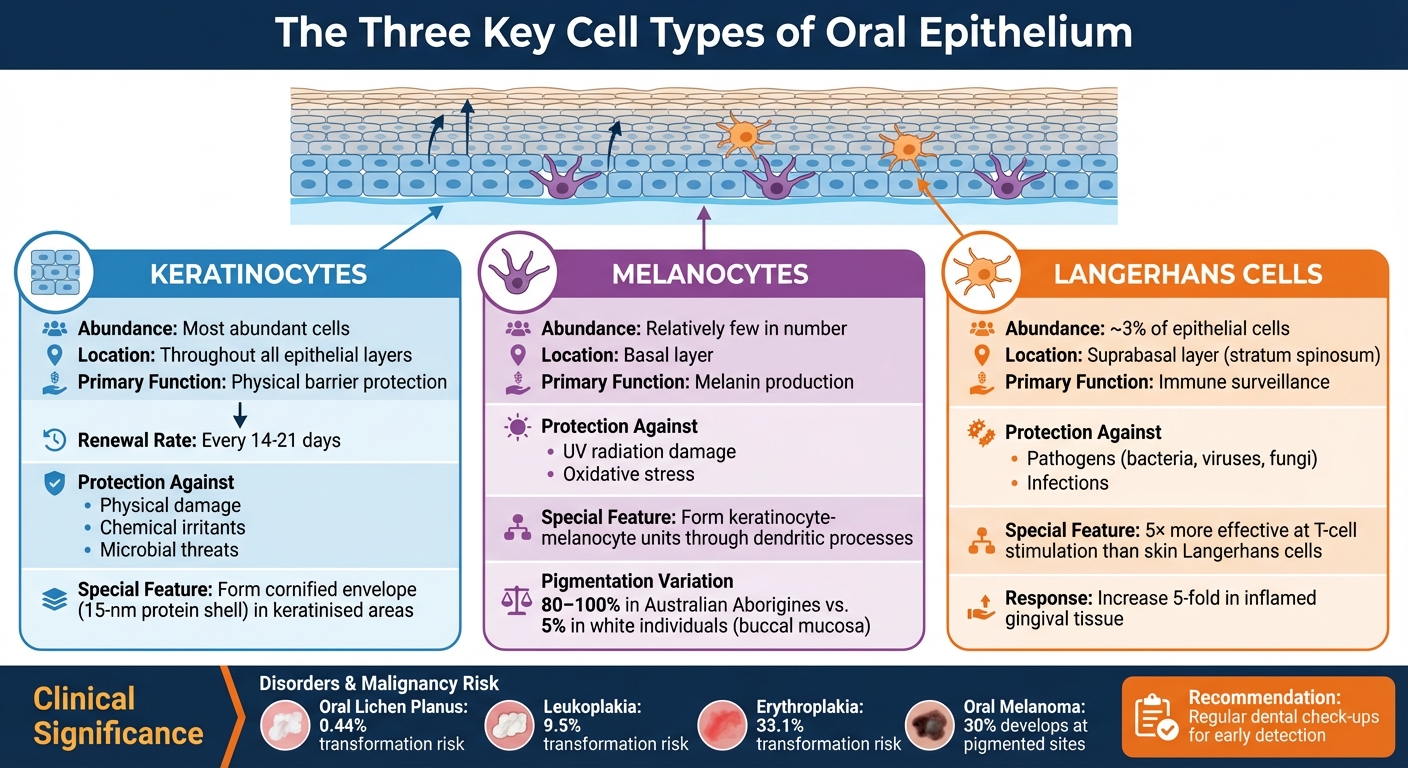 Oral Epithelium: Key Cell Types Explained - Complete Smiles