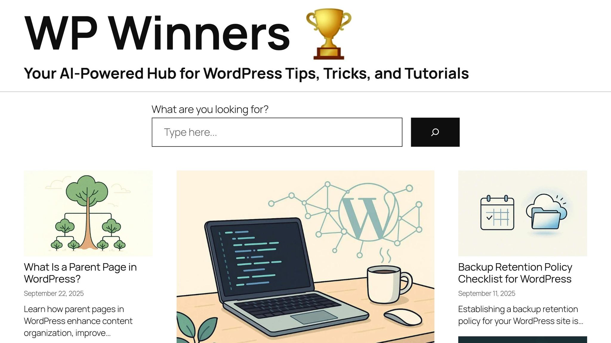 How to Build a WordPress Audit Checklist - WP Winners 🏆